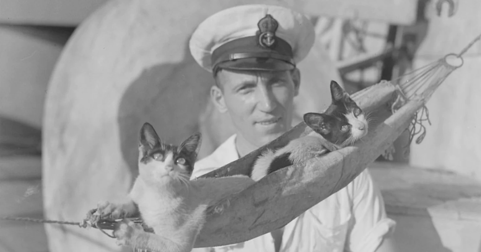Unsung Heroes - The Cats in World War I and II